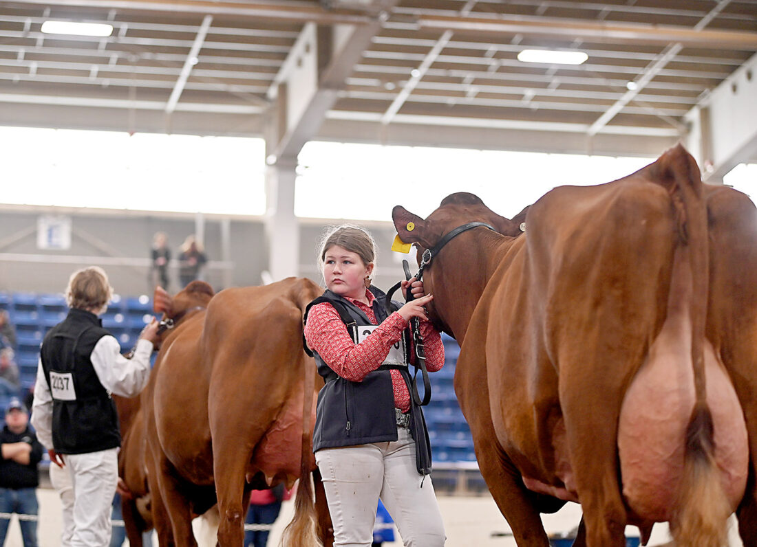 ‘Powering Pennsylvania’: State Farm Show set to kick off Saturday ...